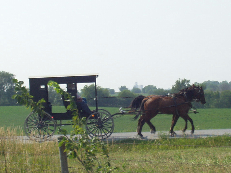 Amish Buggies, Wagons, Bikes and Rollerskates