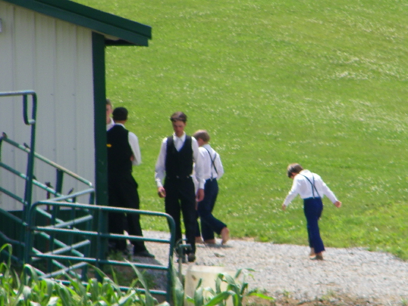 Sunday in Amish Country
