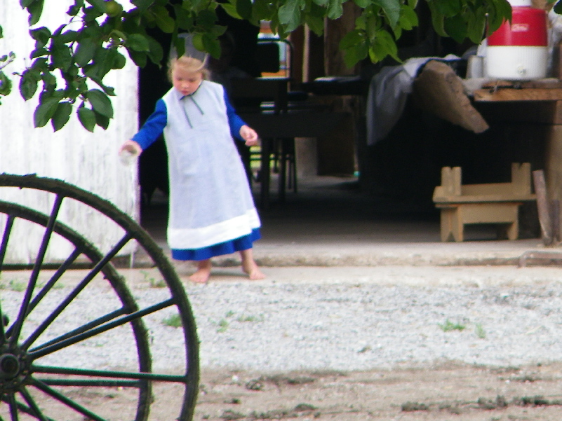 Sunday in Amish Country